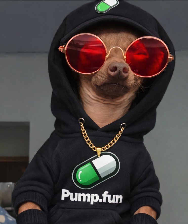 $Yoshi - Dog of the Year 2026